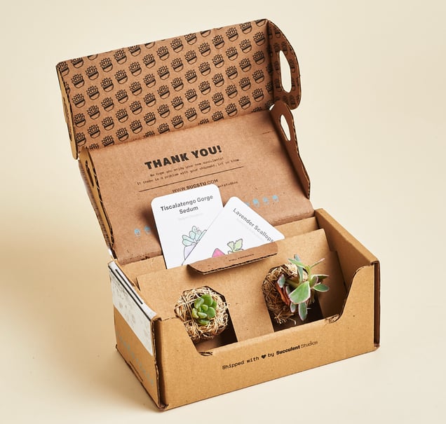 Subscriptions boxes: how to run this business model successfully?